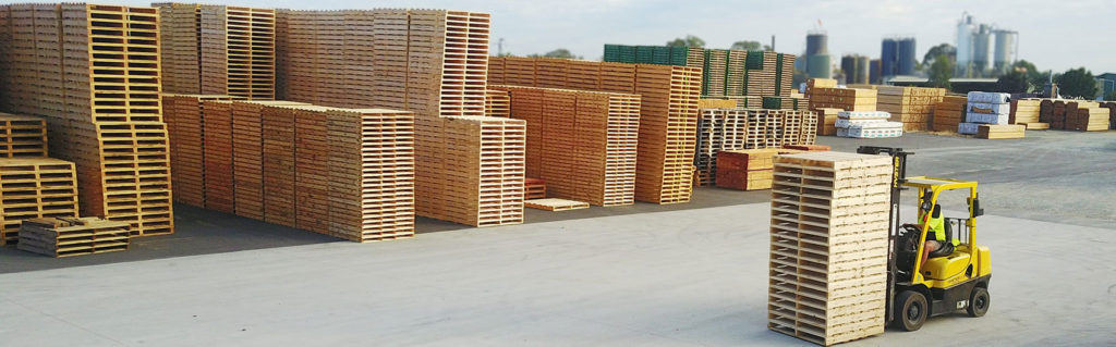 express-pallets-and-crates-pallets-stock-pile-forklift | Express Timber ...