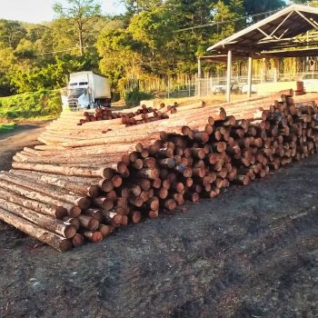 Express Timber & Dunnage Gallery | Express Timber & Dunnage Brisbane